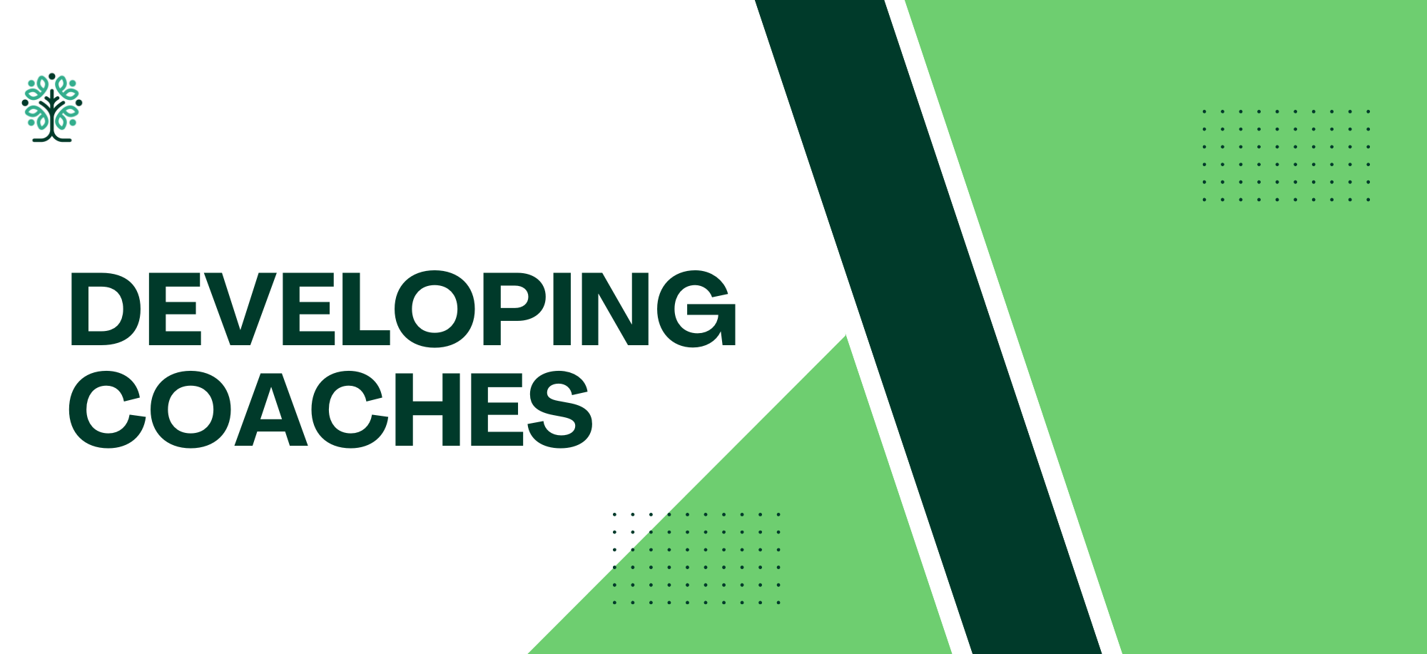 Developing Coaches Series